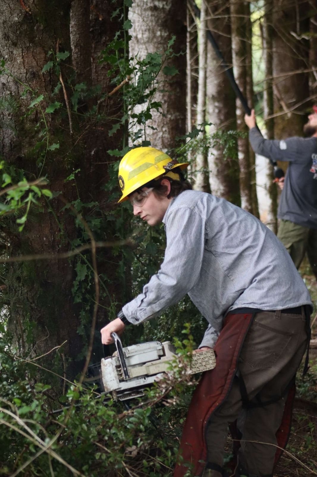 MEET THE OREGON LOGGING CONFERENCE FOUNDATION SCHOLARSHIP RECIPIENTS