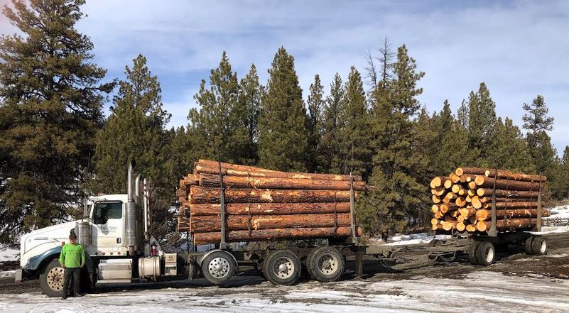 Highlights of the 83rd Oregon Logging Conference Virtual Celebration