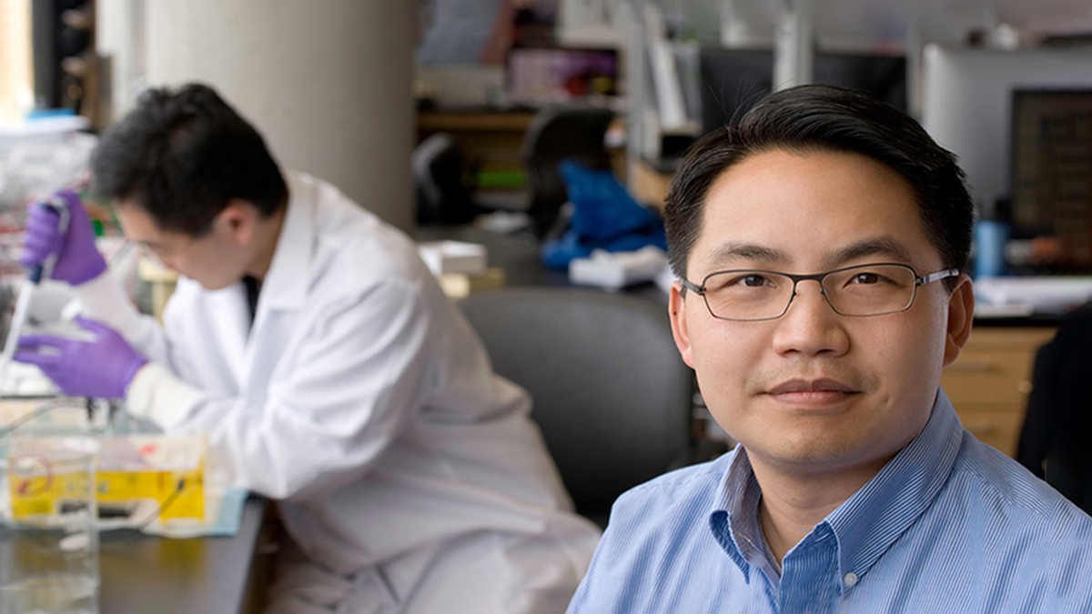 eNews - February 2021