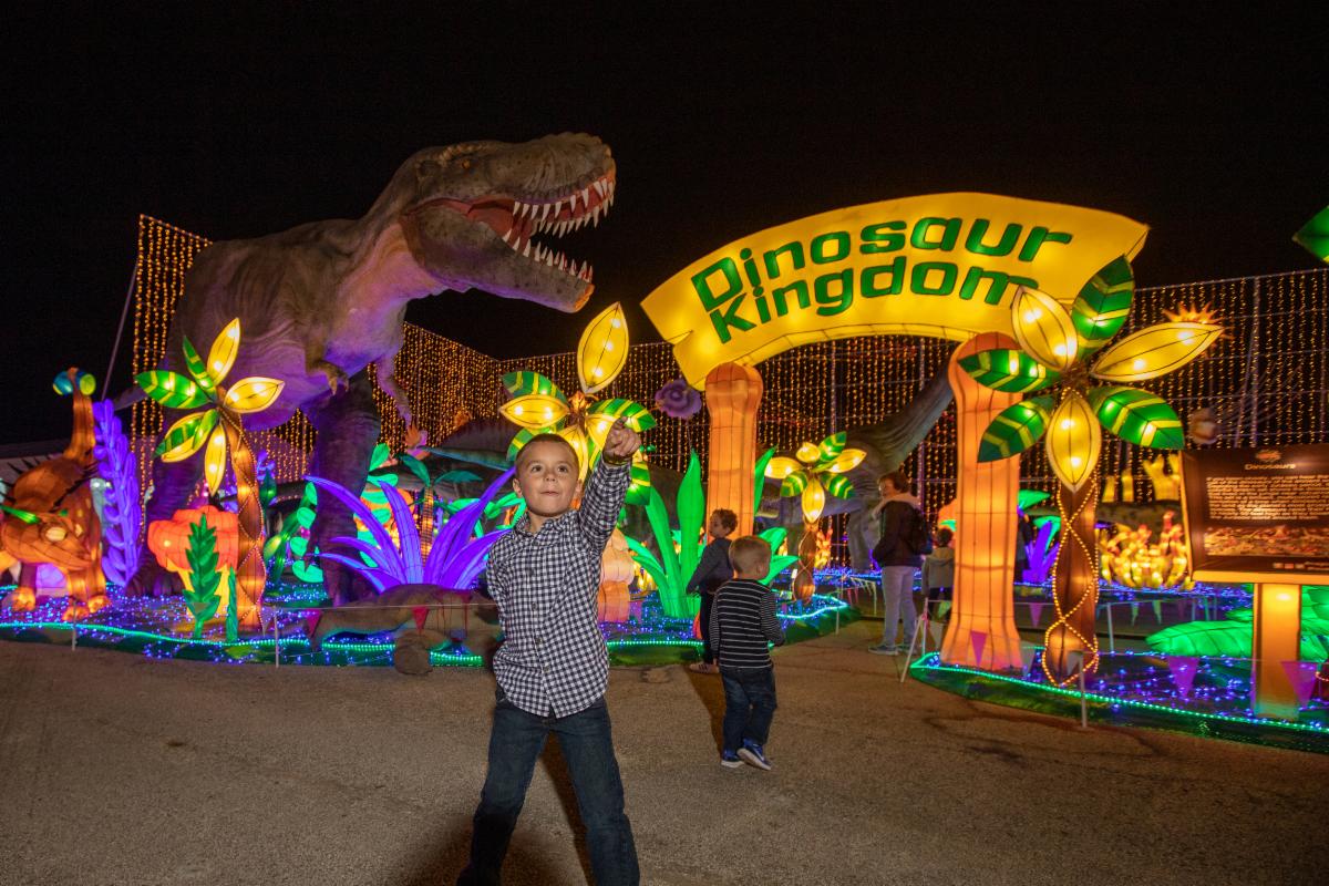 Magical Winter Lights is Back!