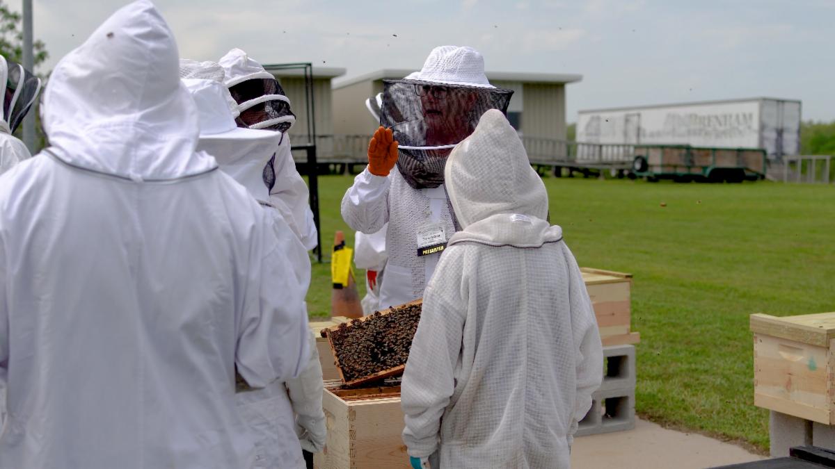 15th Annual CTBA Beekeeping School