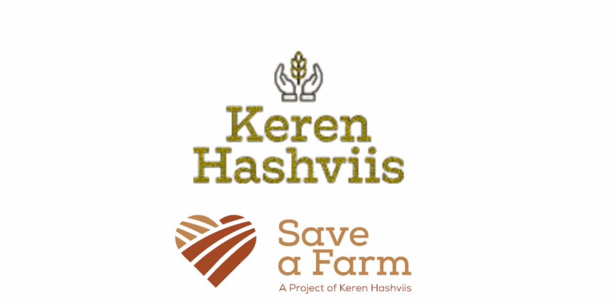 Farm to Flame: Oil for Chanukah
