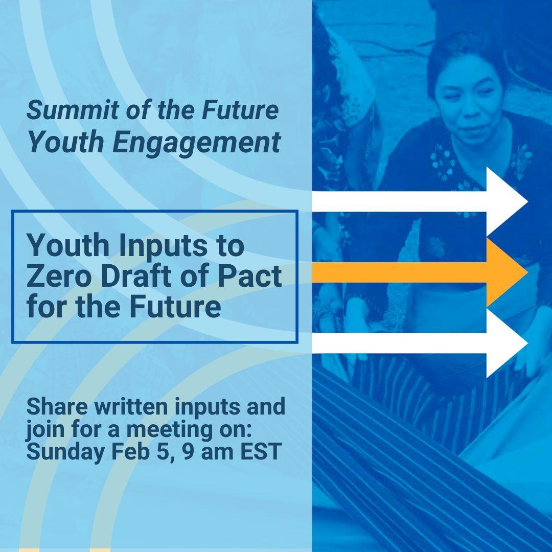 Summit of the Future - Zero Draft & Formal Youth Inputs