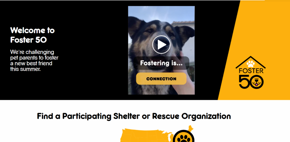 Foster 50: Challenge Grants NOW Open through 6/13