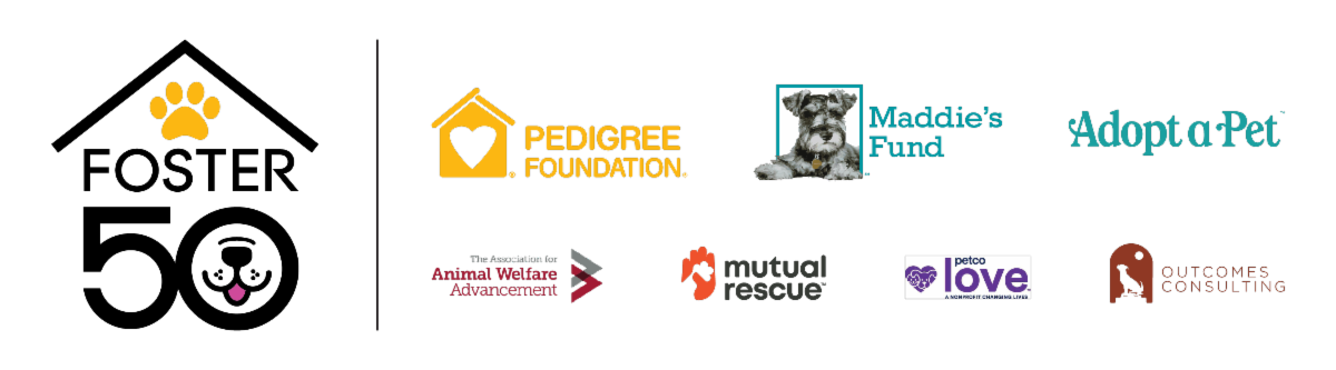 Introducing the Foster 50 Challenge: 50 states, hundreds of shelters ...
