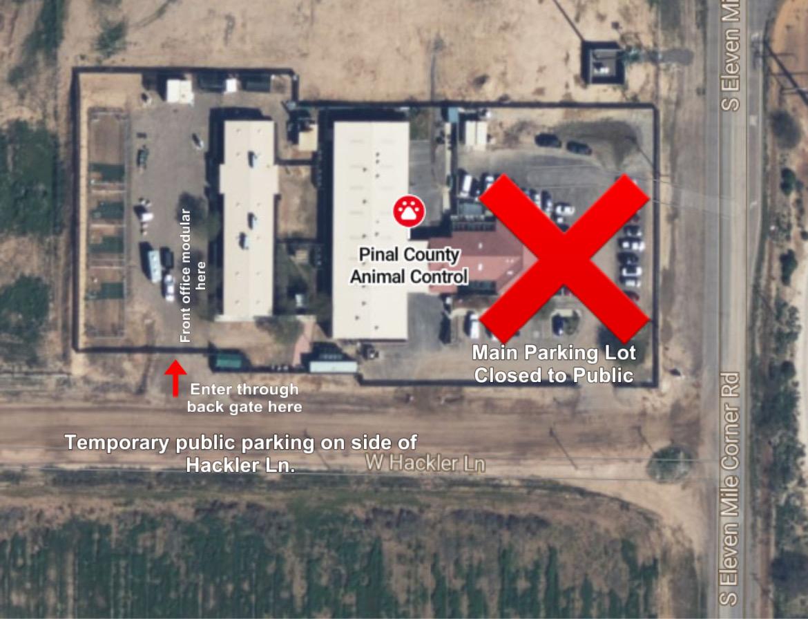 Pinal County Animal Care and Control January 2024 Pupdate