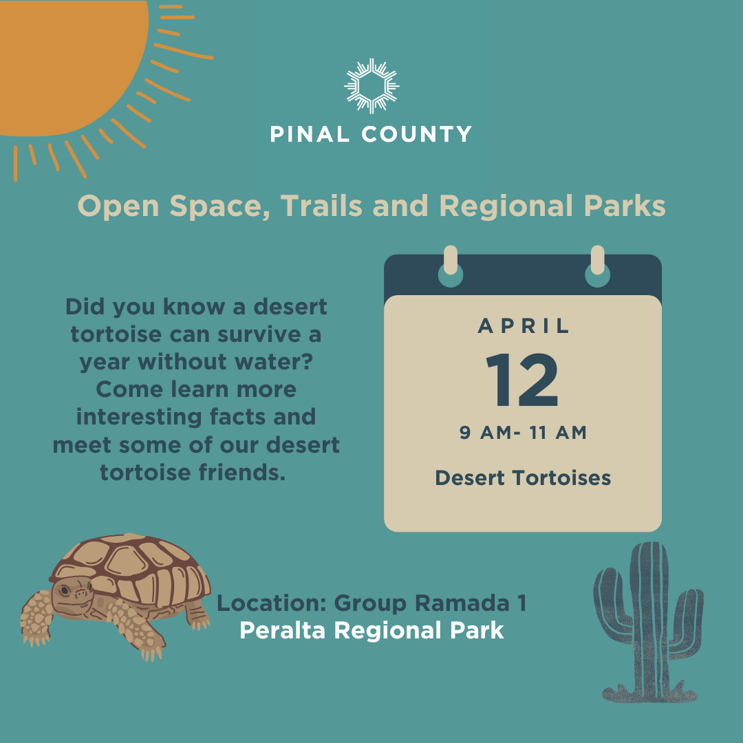 Your Weekly Roundup from Pinal County April 12, 2025