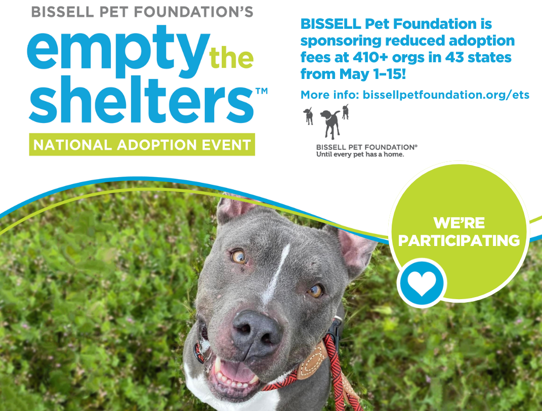 Pinal County Animal Care and Control May 2024 Pupdate