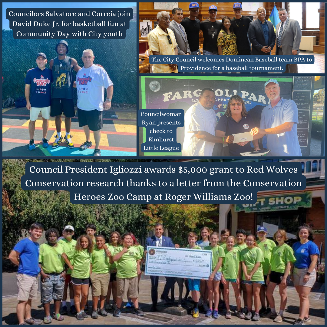 City Council Newsletter