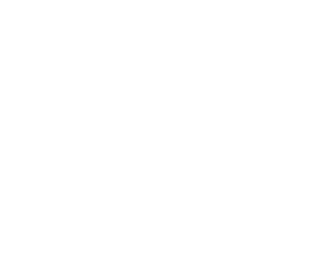 Tesora New Color Holiday Party And Toy Drive