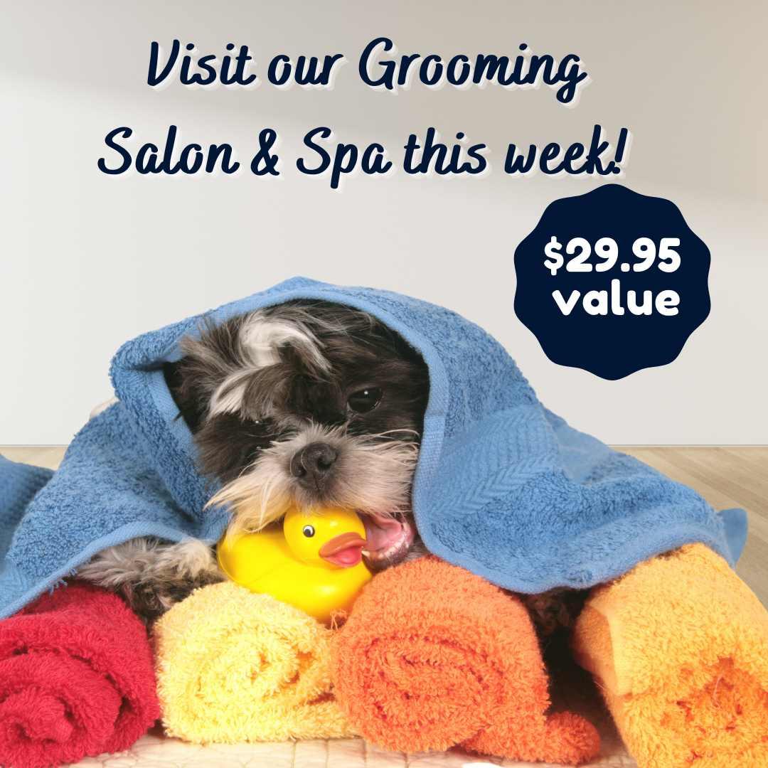 Grooming Special