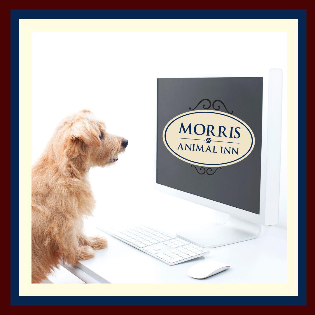 See What's Happening at the Inn