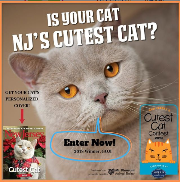 Spread the word & participate in this contest!