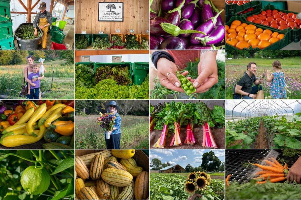 Farmstand re-opens this Saturday; Forestry Walk; Year-round Education ...