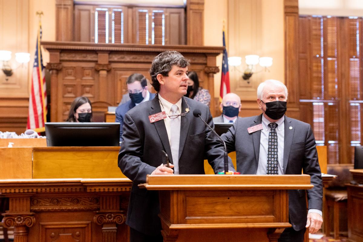 GEORGIA GENERAL ASSEMBLY 2022