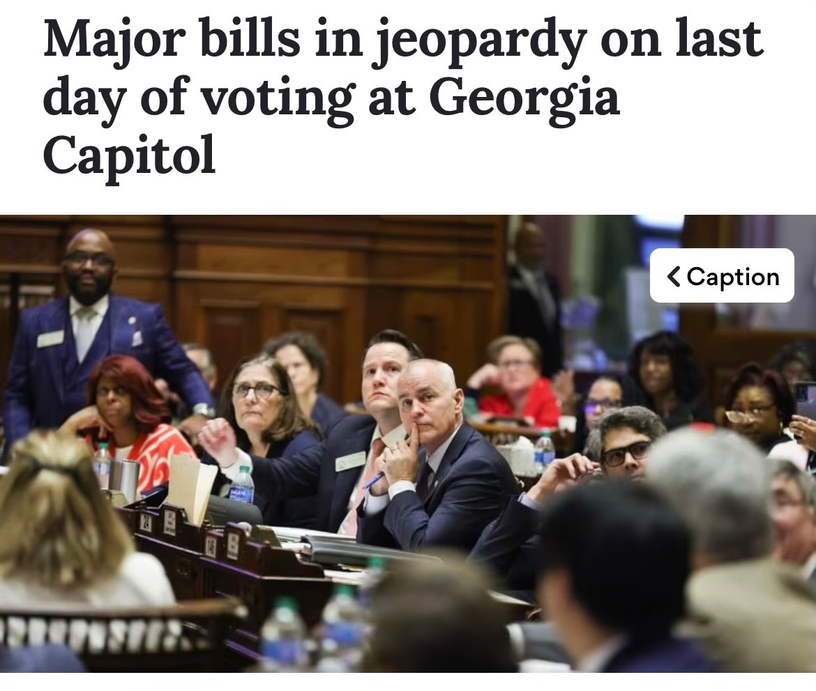 GEORGIA GENERAL ASSEMBLY 2023