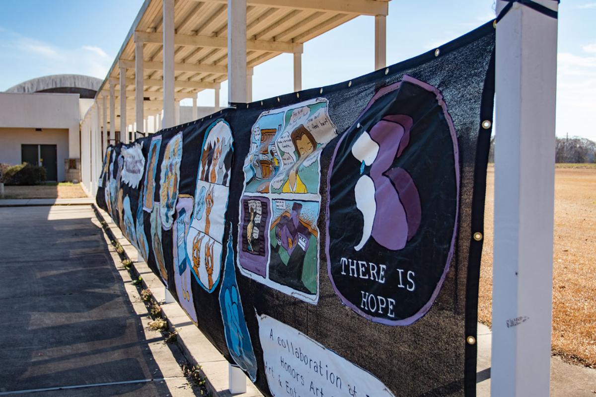 Official Invitation to Host the Rise Above Stigma #MindTheMind Mural!