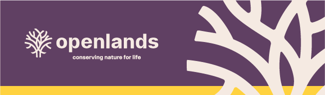SAVE THE DATE: Openlands 2024 Annual Luncheon