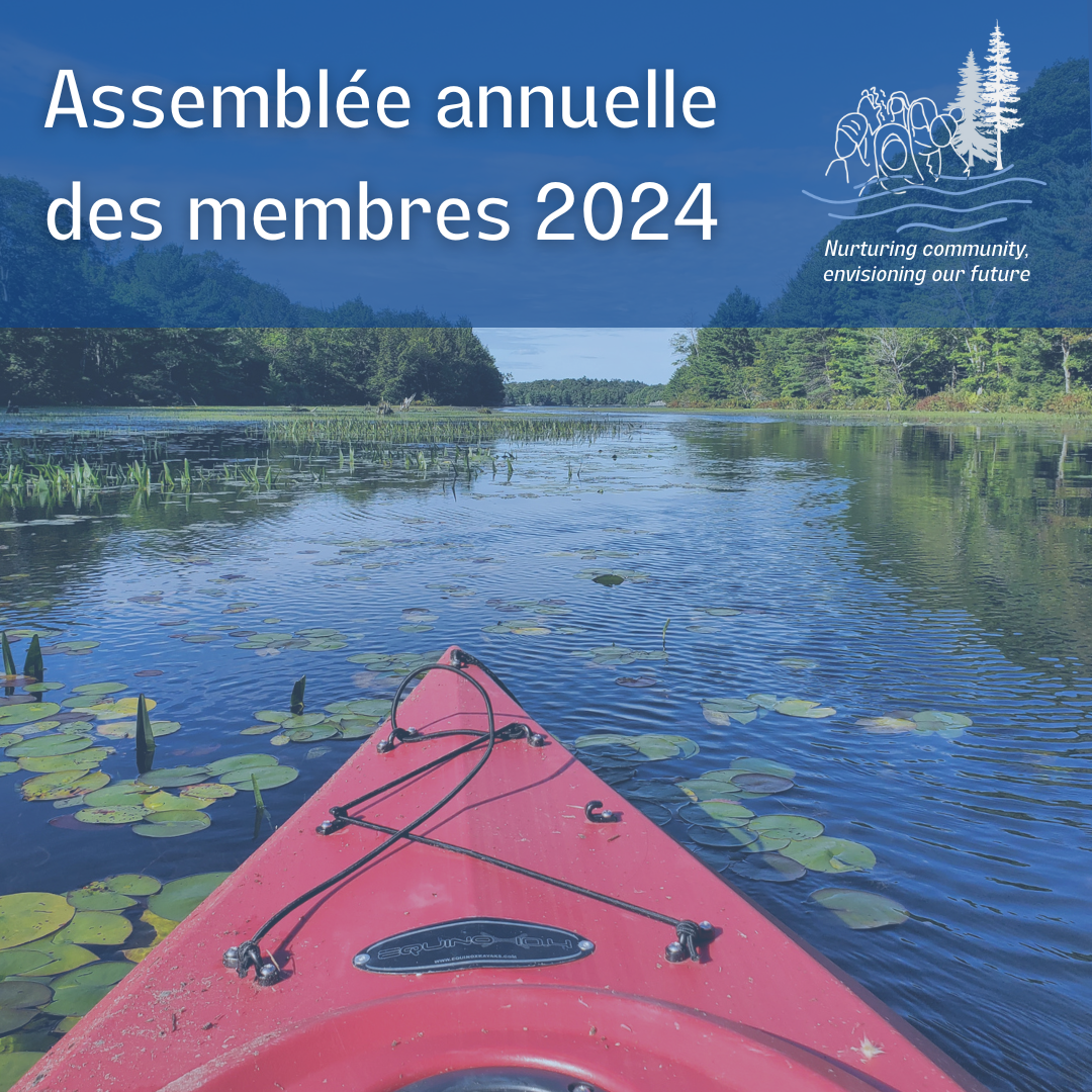 AMM 2024 - AAM 2024