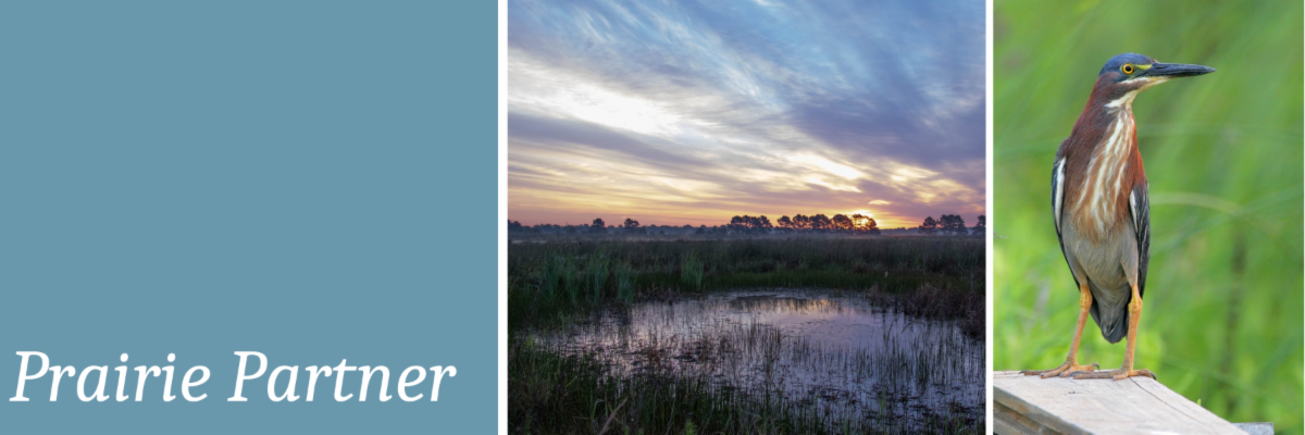 Katy Prairie Conservancy January 2022 Observer