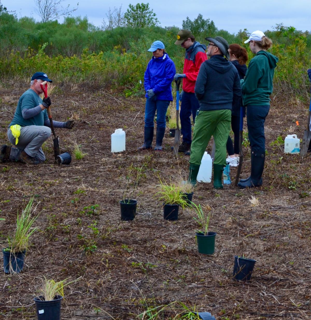 Coastal Prairie Conservancy Volunteers Upcoming Opportunities