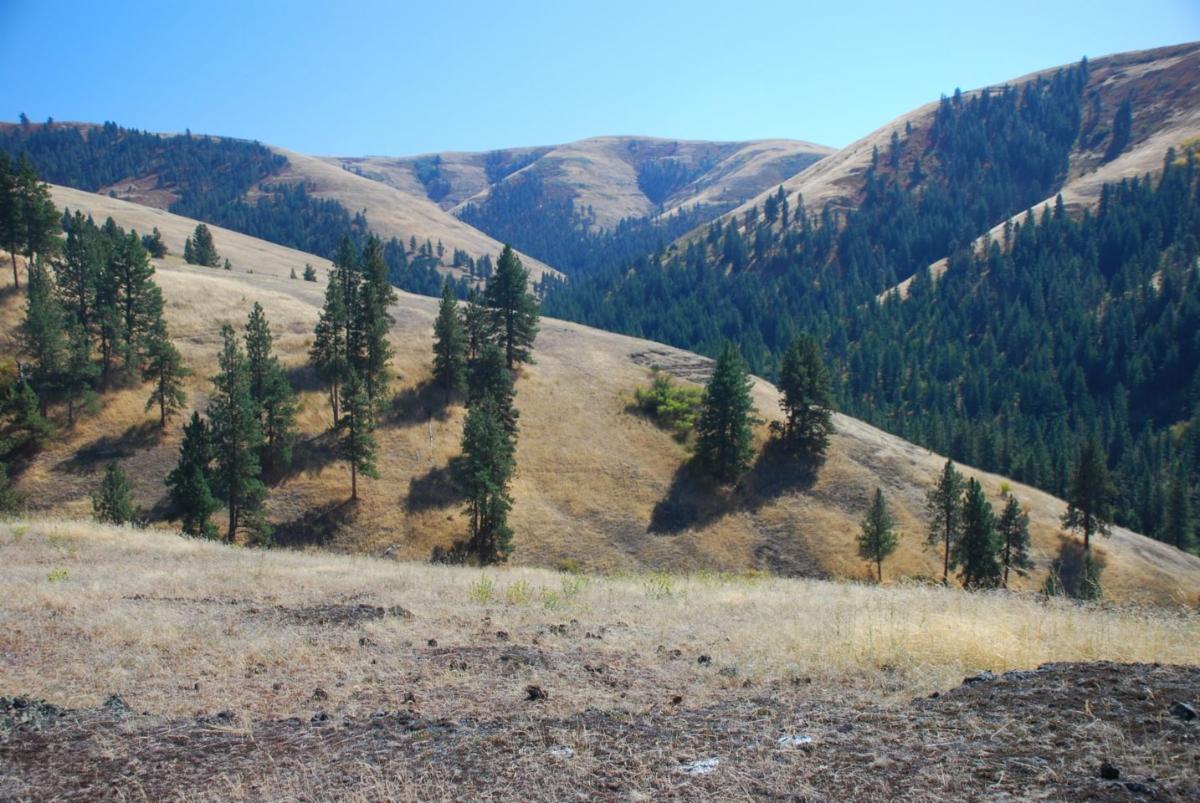 Scouting Monthly Newsletter...November 2021 Edition