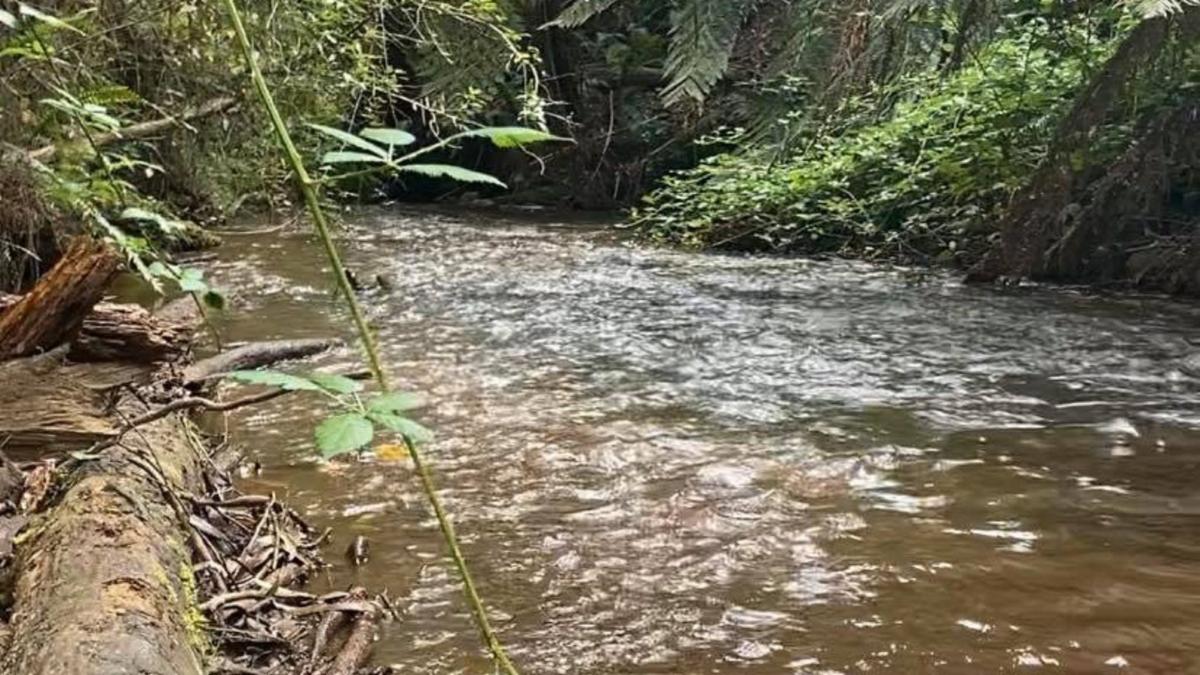 Register Now for the Stormwater Victoria Healthy Waterways Strategy Webinar