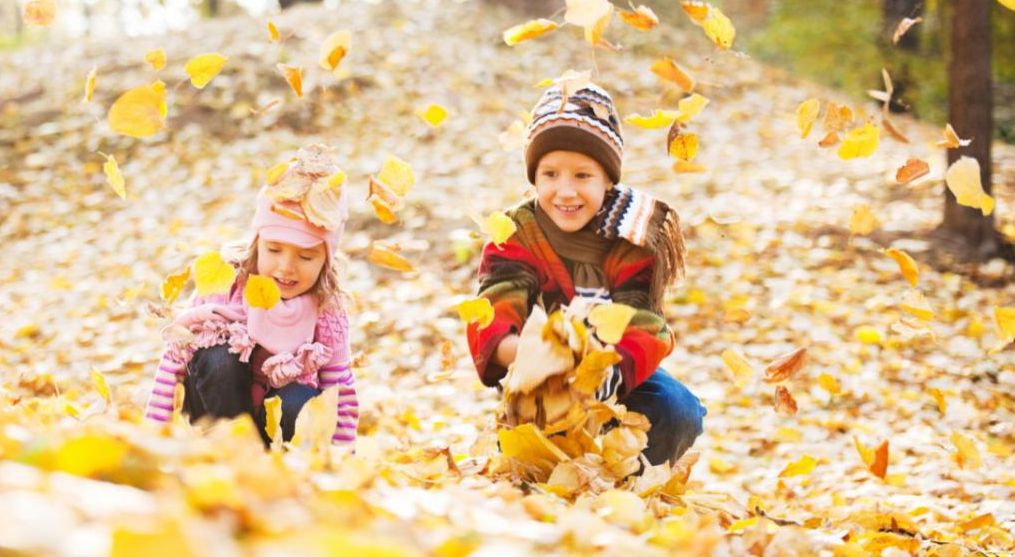 Fall Leaf Exploration and messy, halloween Fun