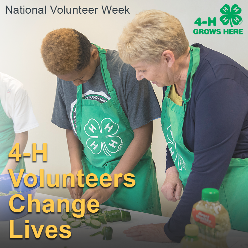 April 2021 News and Updates for 4-H