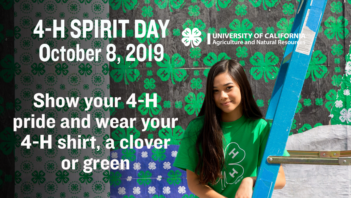 4-H September news and updates