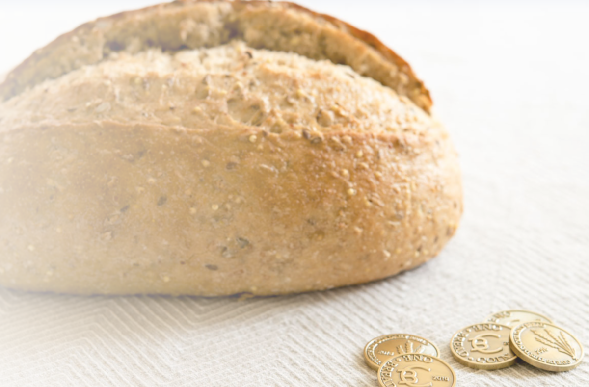 CONNECT! Monthly Newsletter for January