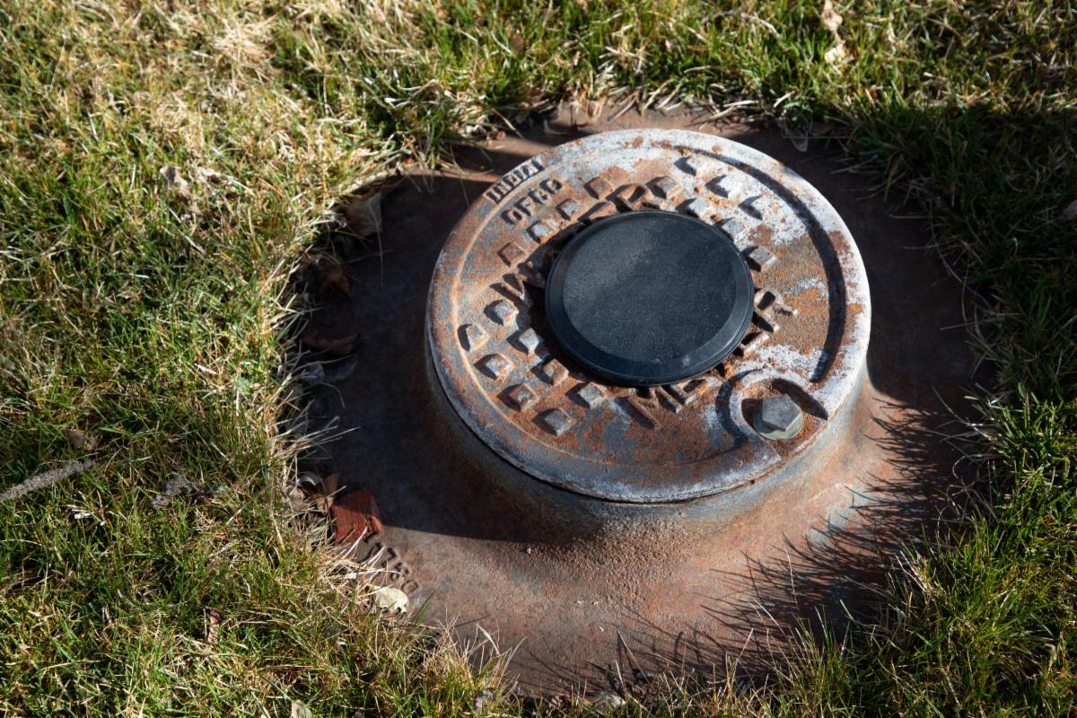 Enjoying Spring in Nampa!