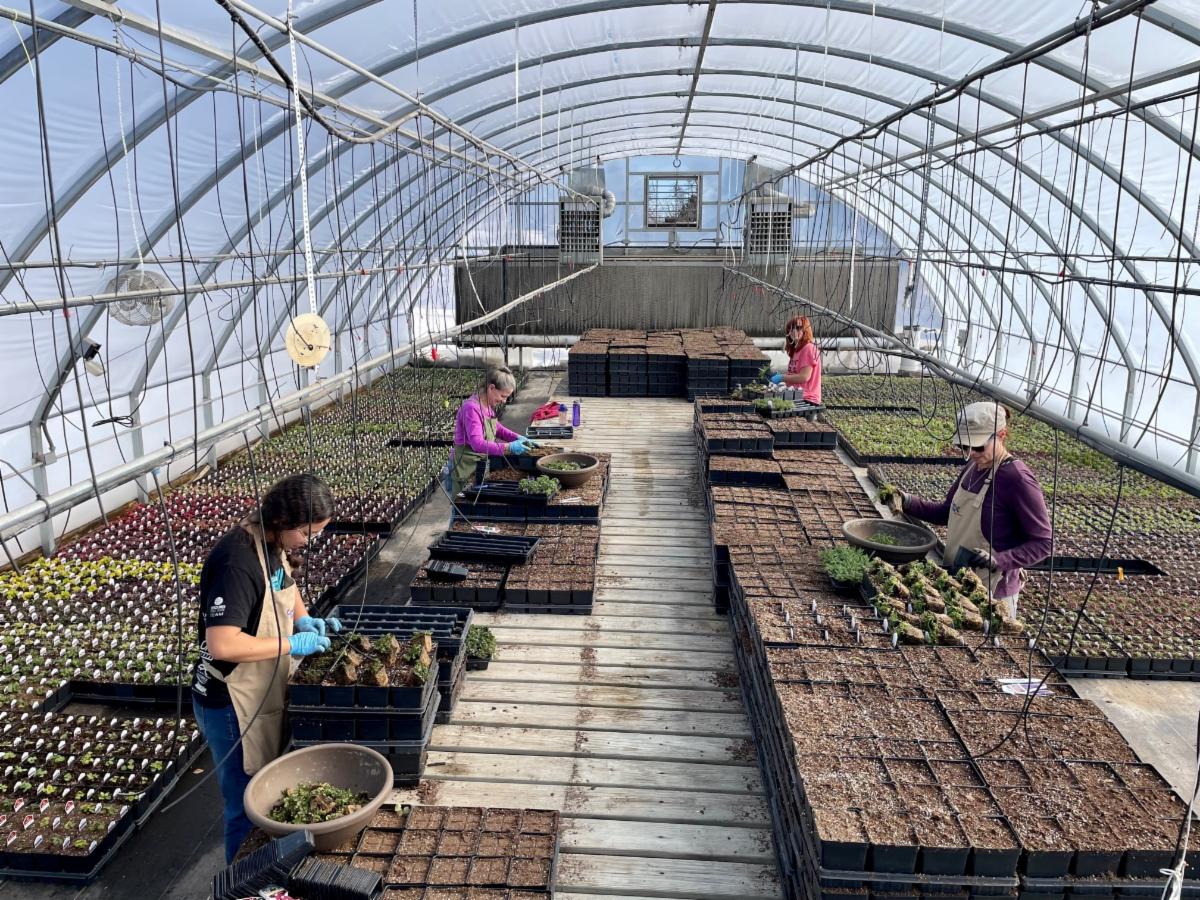 Plan-Prep-Plant for Garden Success