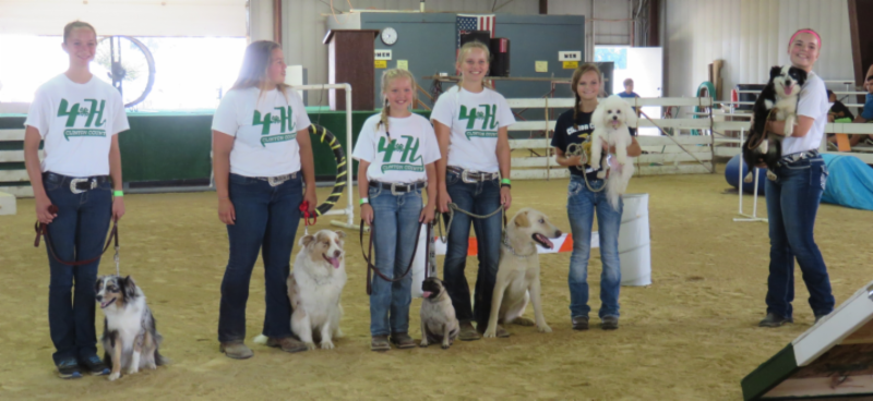 4-H Clinton County Spring E-News