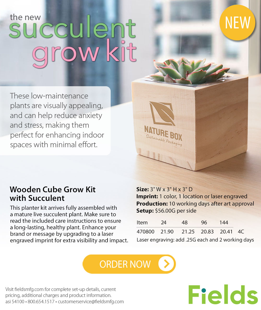 The New Succulent Grow Kit