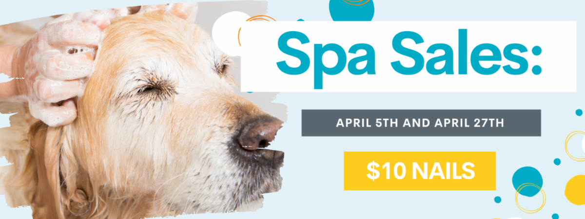 Happy April, Pet Parents!