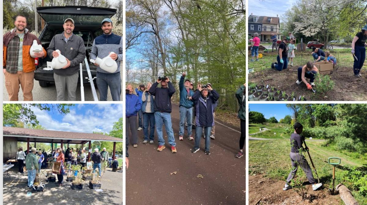 May Bird Town Flyer Newsletter 2025