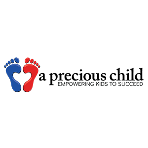 A Precious Child Heroes of A Precious Child Fundraiser Kit