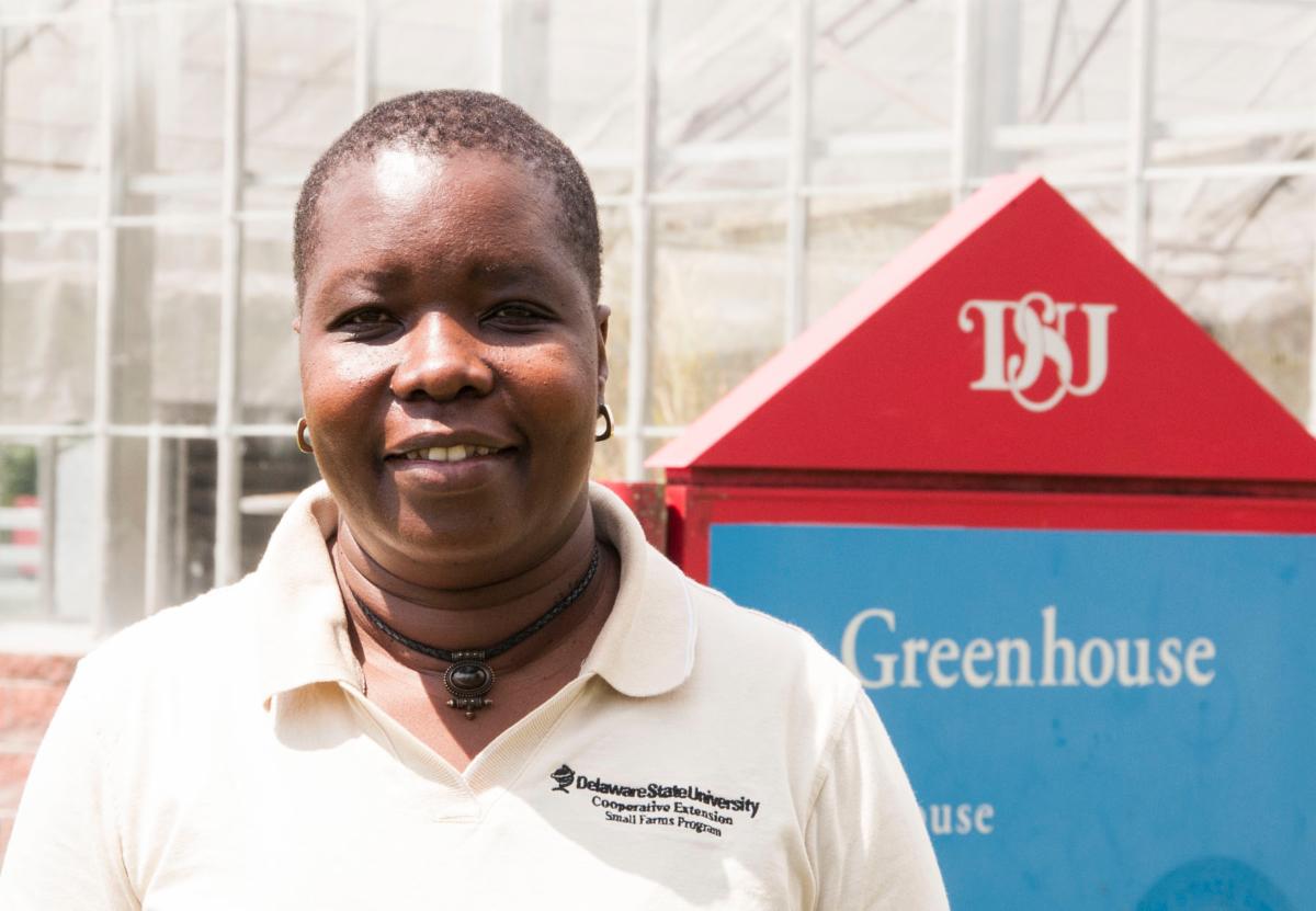 Extension Today: June 2023