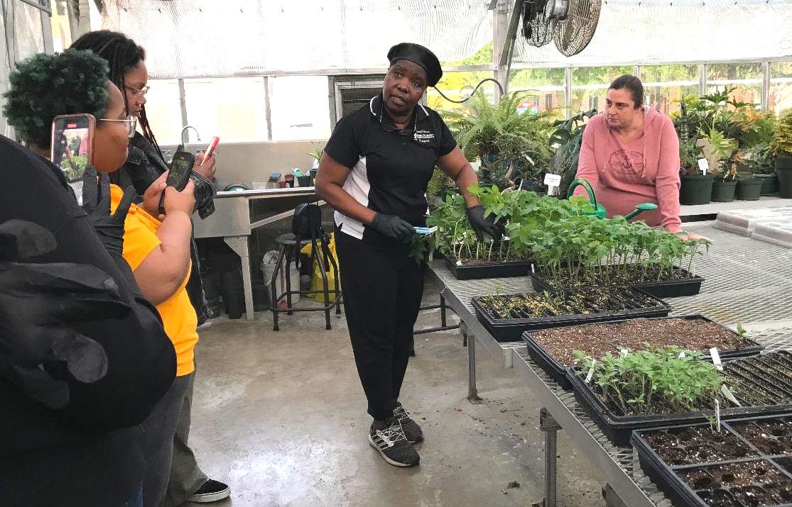 Extension Today: March 2025