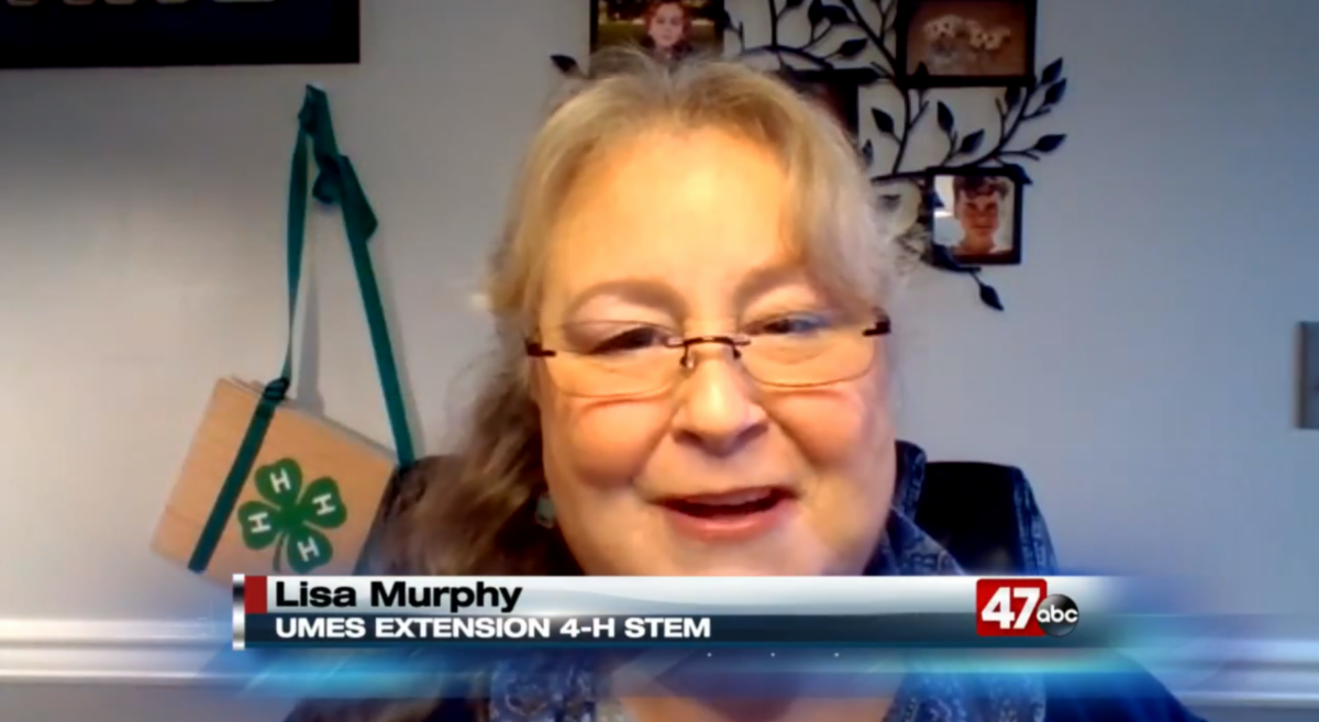 Extension Today: May 2021