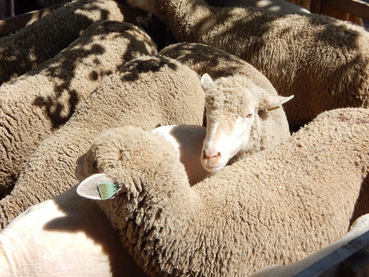 Extension Today: May 2023