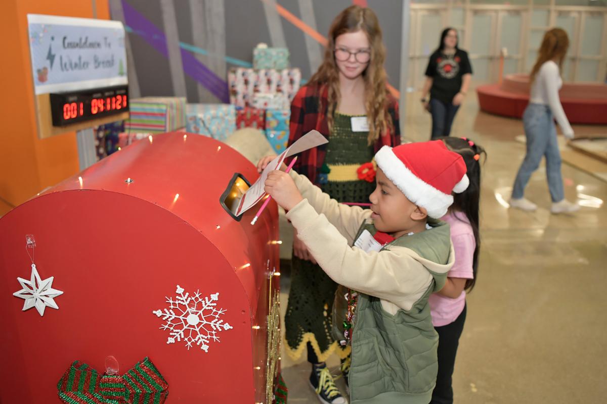 BCS Newsletter for December 20th, 2024