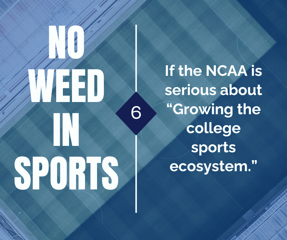 kNOw Weed in Sports