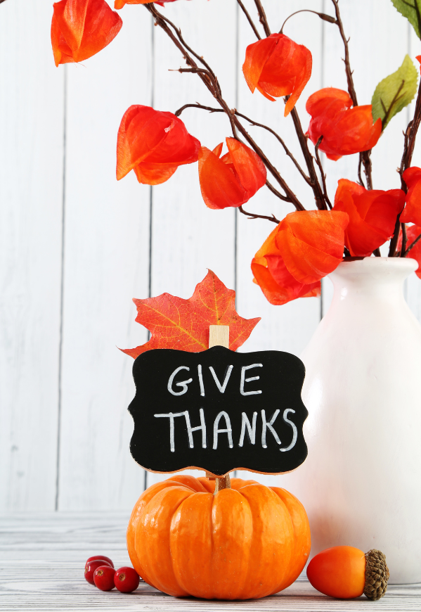 November 2022 4-H Newsletter