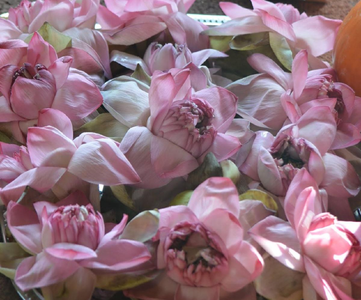 Special Kamala(Lotus) Pushpa Archana