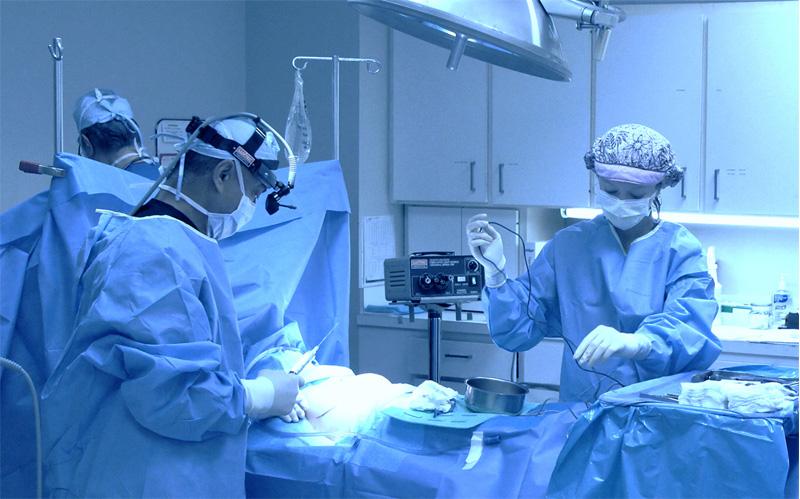 Incredible Savings on Stem Cell Enhanced Plastic Surgery at Obi Plastic ...