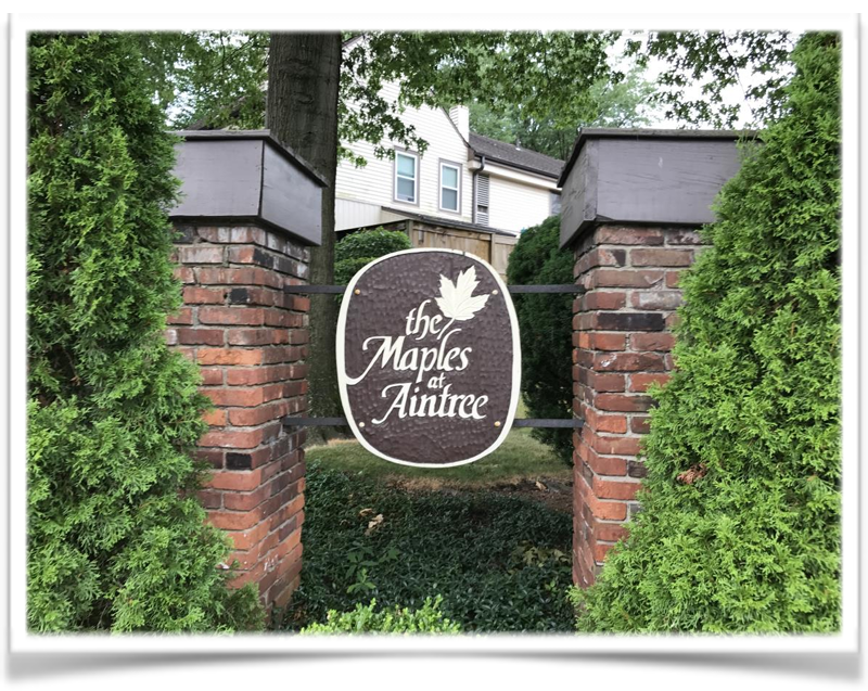 Maples at Aintree Condominiums - Update - February 2025