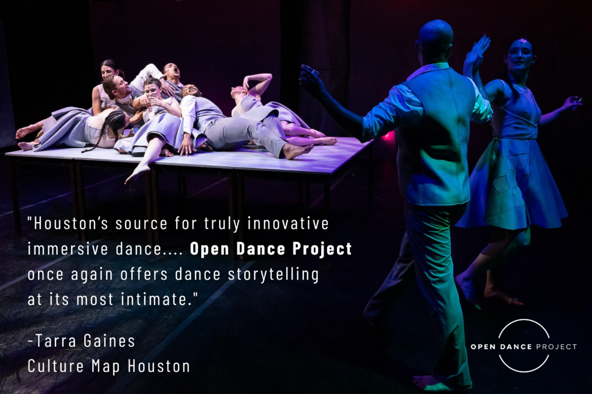 Company Audition and Professional Intensive Information