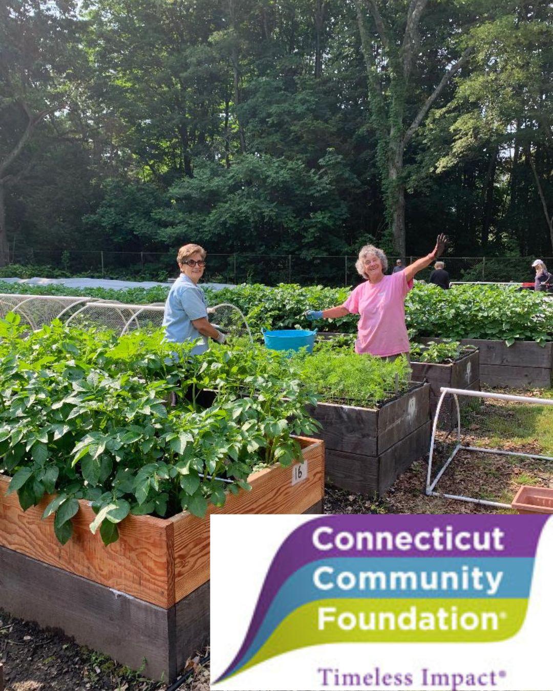 OLLI at UConn Weekly "What's Happening?"